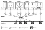 Linux信号与线程详解：从LinuxThreads到NPTL的演进之路 - The Talk